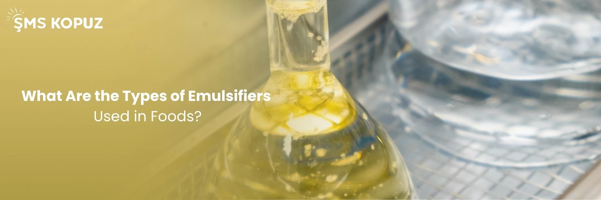 What Is the Function of Emulsifiers? Their Role and Importance in Food ...
